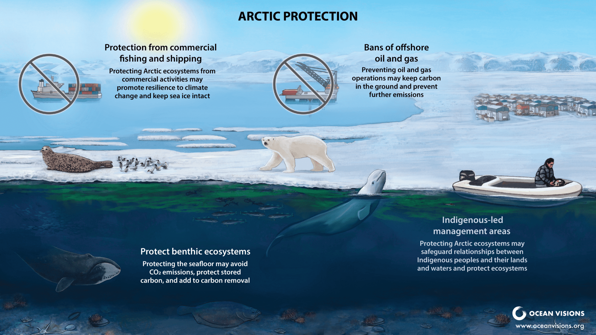 Arctic Protection | Ocean Visions